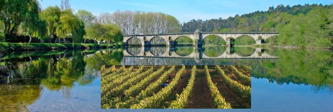 VINHO VERDE BRANCO PONTE DA BARCA GRANDE ESCOLHA 750ML :: Casa Palla VINHO VERDE BRANCO PONTE DA BARCA GRANDE ESCOLHA 750ML :: Casa Palla